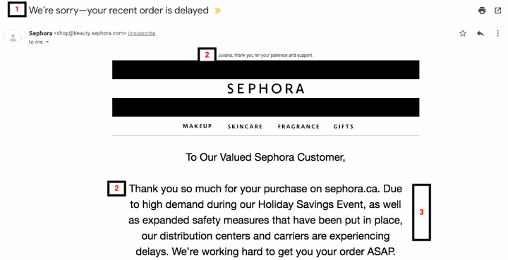 Shipping Delay Email Examples What To Say To Your Customers Wonderment
